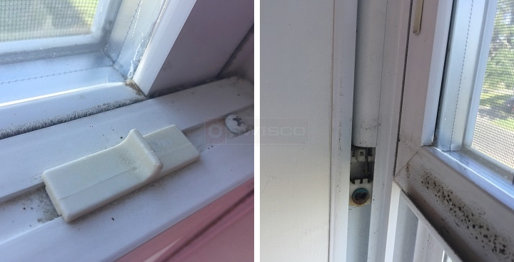 Moss windows : SWISCO.com