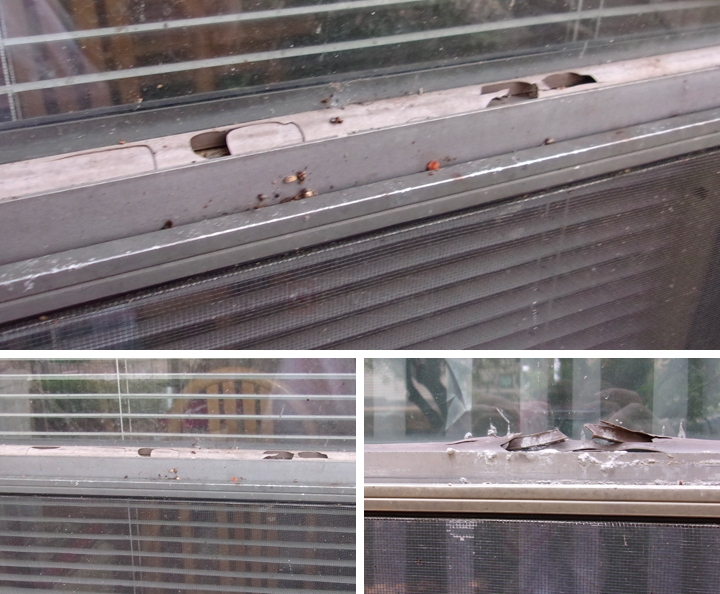 snap in window glazing - bead? : SWISCO.com