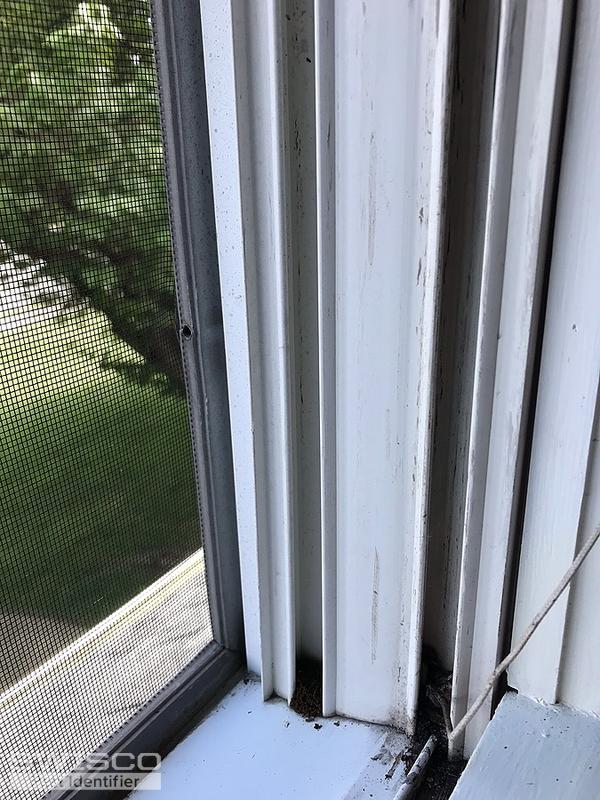 Ordering new sash and balance cord for LP windows : SWISCO.com