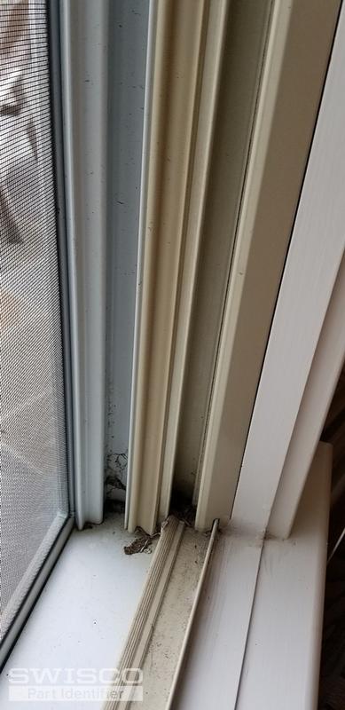 Window weather stripping that pushes into jamb liner : SWISCO.com