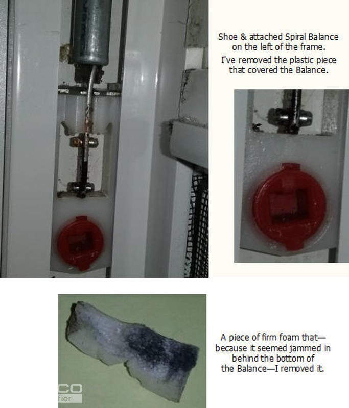Kinro Single-Hung Tilt Window - Pivot Shoes Cannot Lock : SWISCO.com