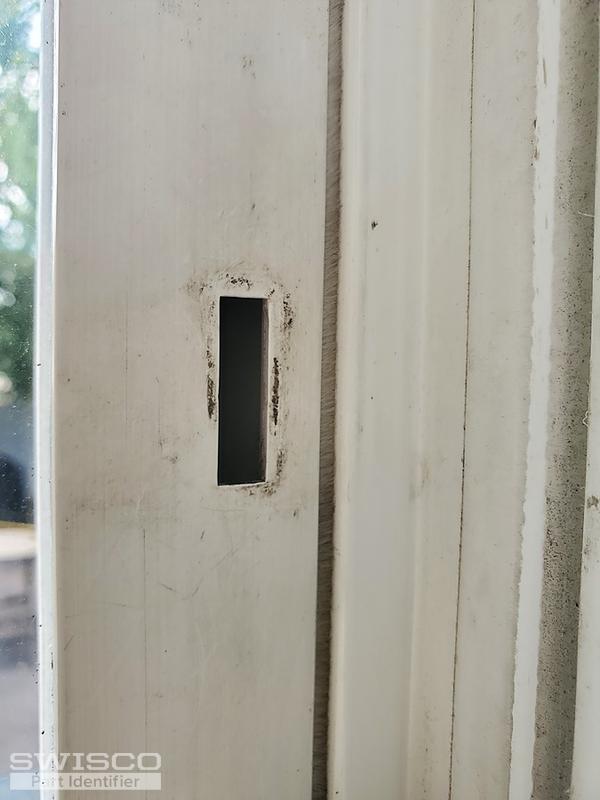 WHITE WINDOW SASH VENT STOP : SWISCO.com
