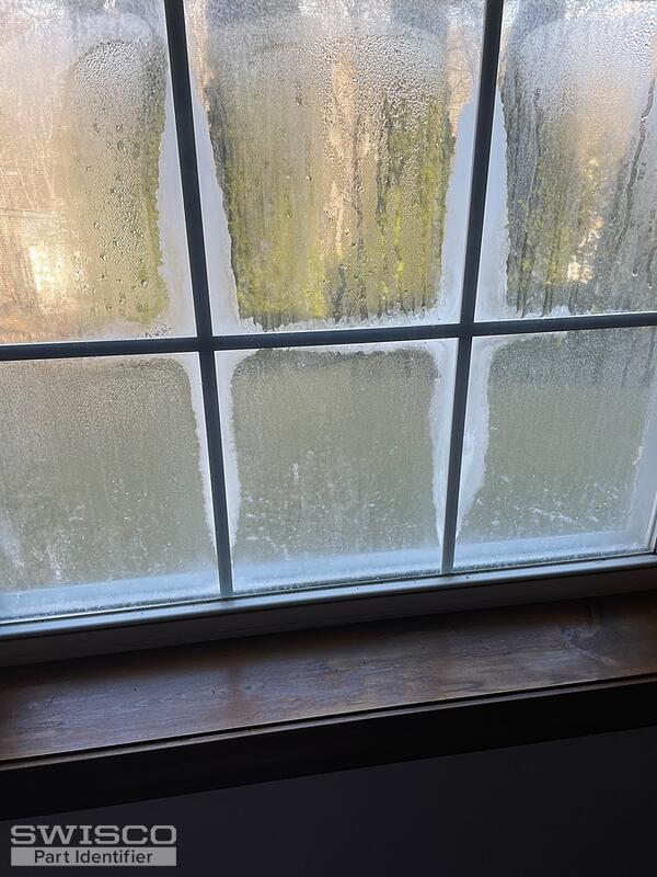 Mastic Window Glass Has Fogged