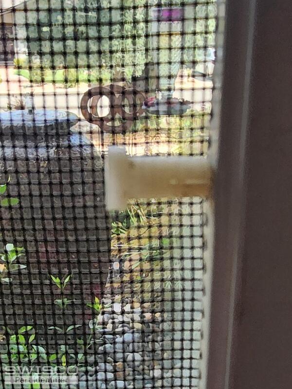 United window and door push pins for window screens : SWISCO.com