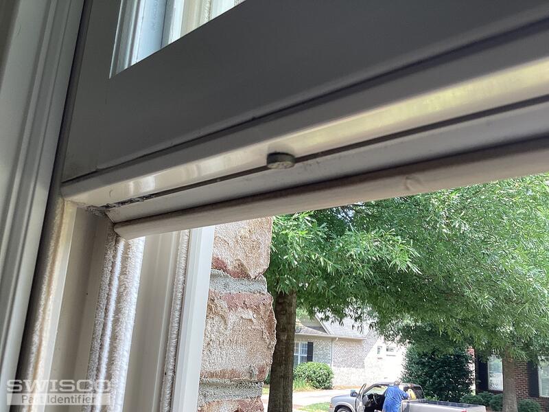 Window Weather Stripping - Replacement : SWISCO.com