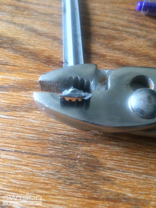 Storm window spline : SWISCO.com