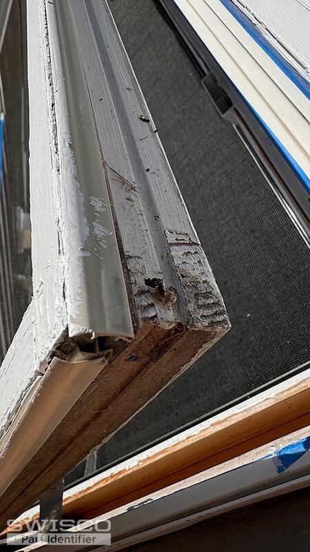 SWISCO.com: Kerf Mount Sweep Seal, 8ft length