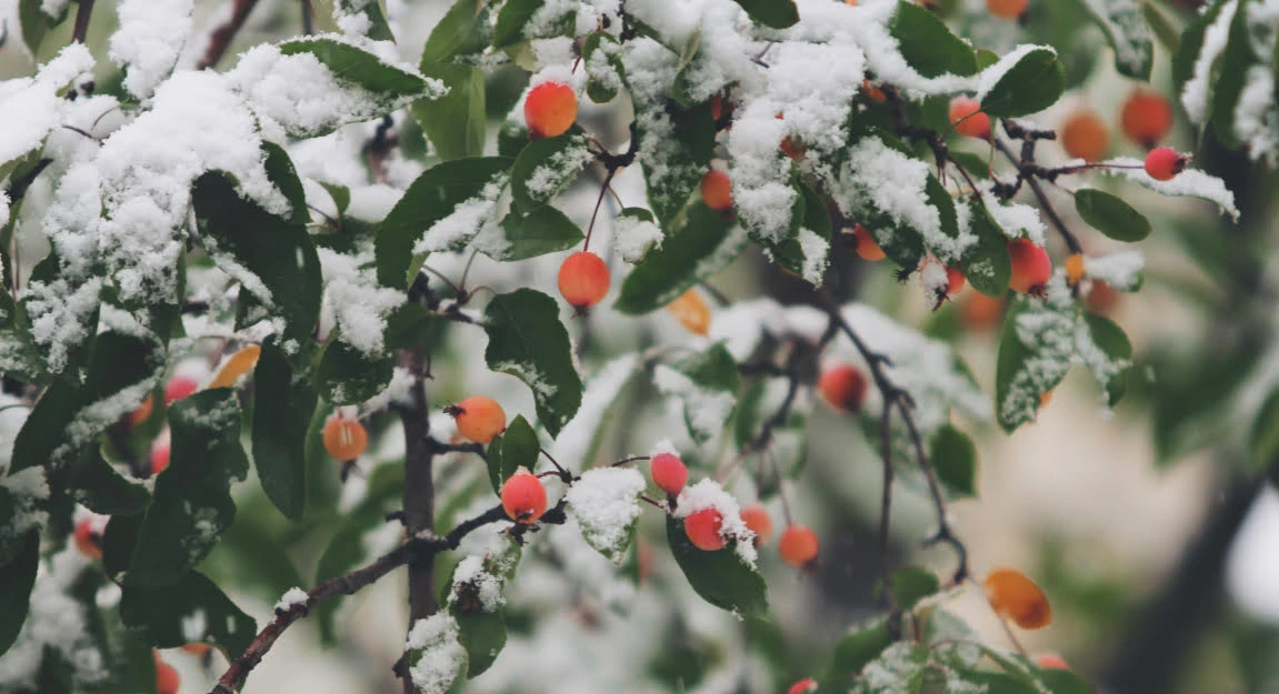 SWISCO.com ~ The Replacement Hardware Authority